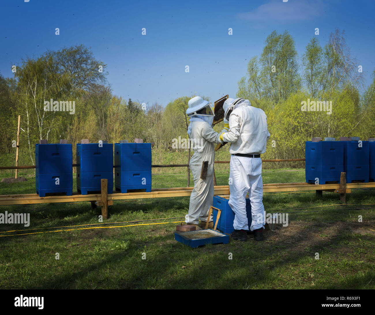 Commercial beekeepers hi-res stock photography and images - Alamy