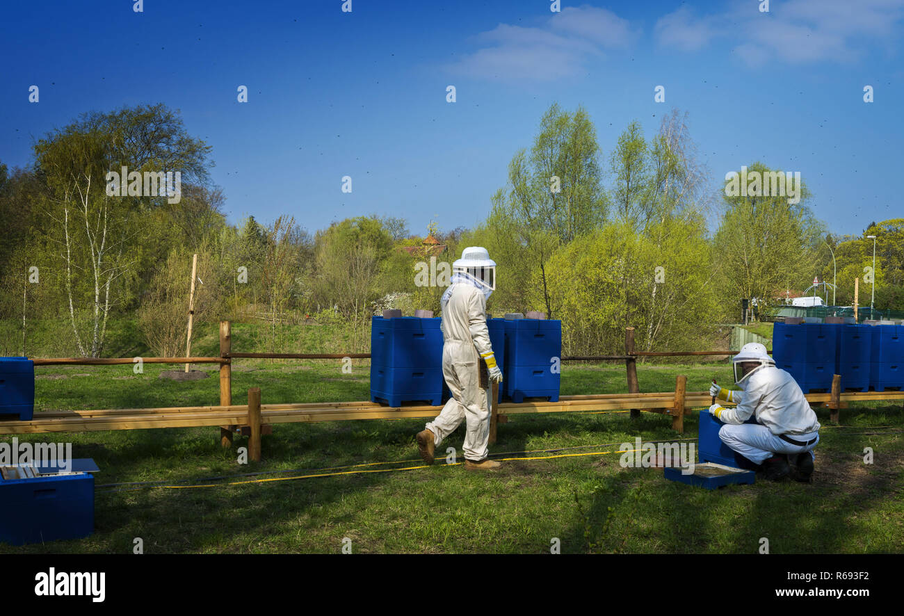 Traditions insect hi-res stock photography and images - Alamy