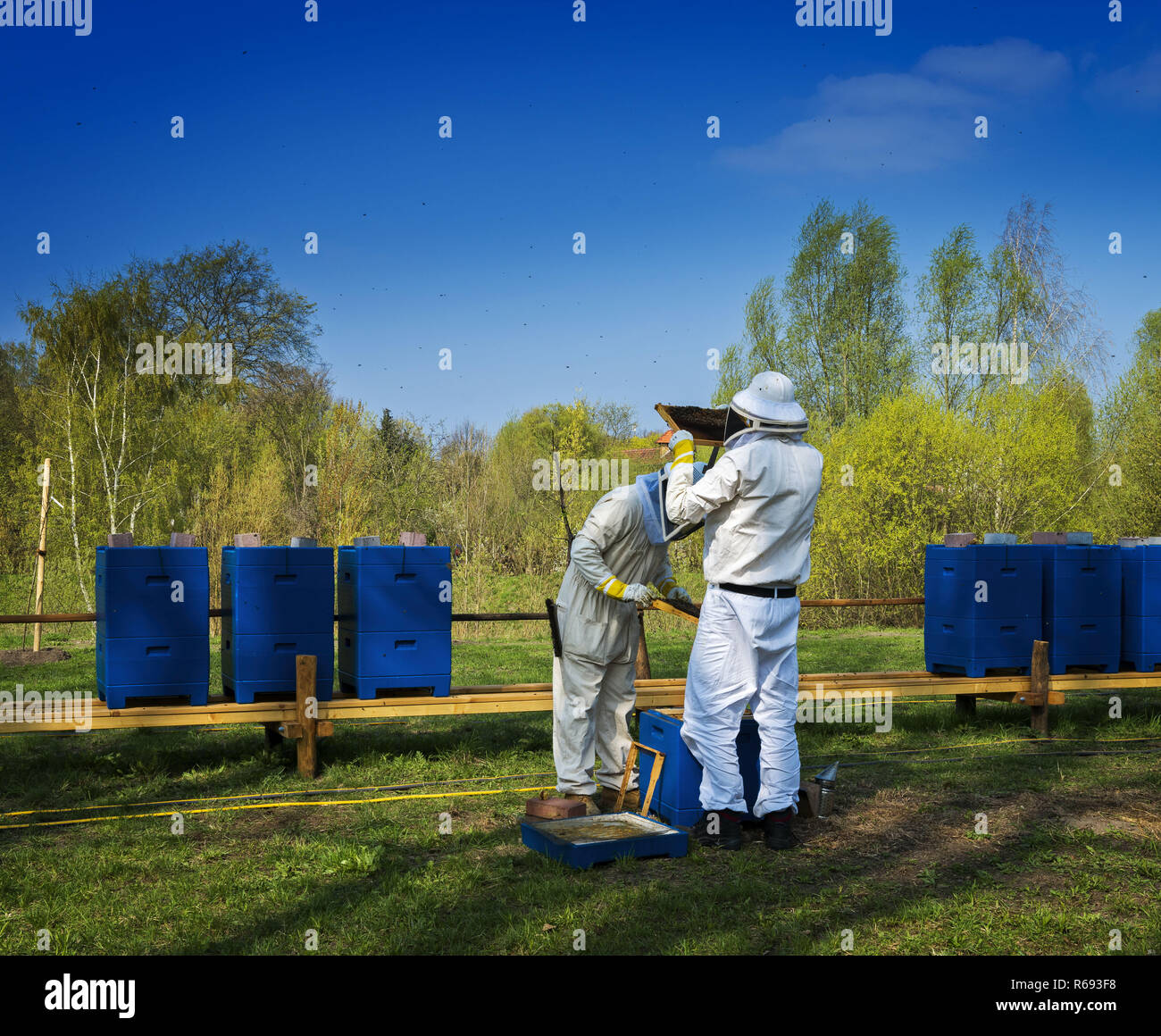 Commercial beekeepers hi-res stock photography and images - Alamy