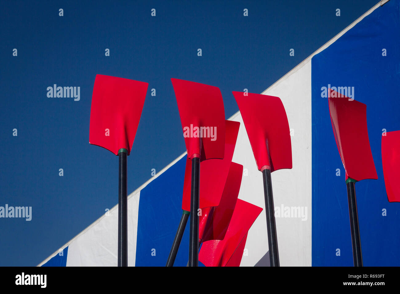 Colourful red oar blades by the blue and white boat tents against a ...