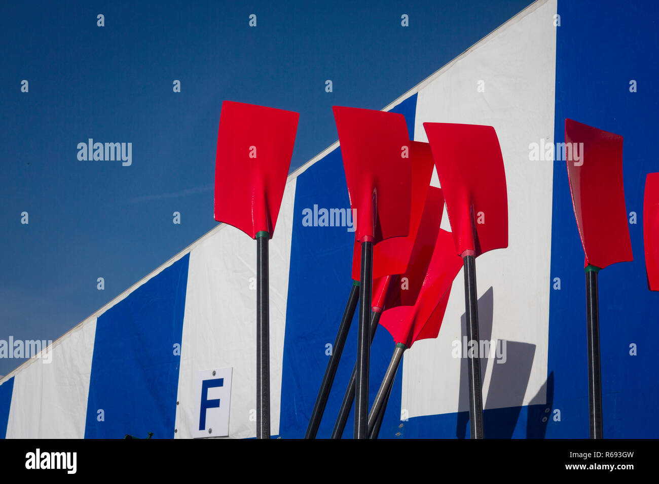 Colourful red oar blades by the blue and white boat tents against a ...