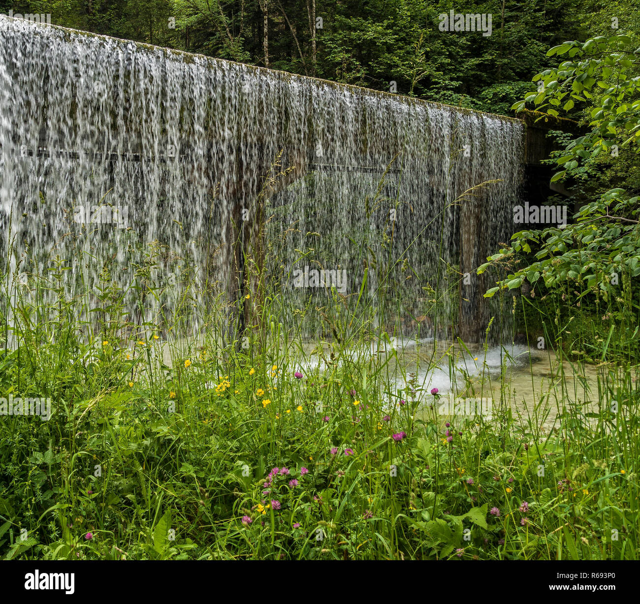 Regen rinne hi-res stock photography and images - Alamy