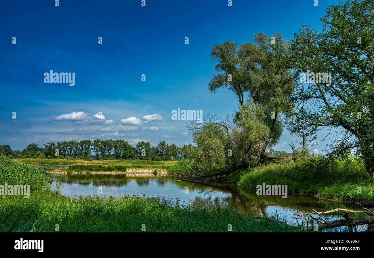 The River Oder In Brandenburg Stock Photo - Alamy