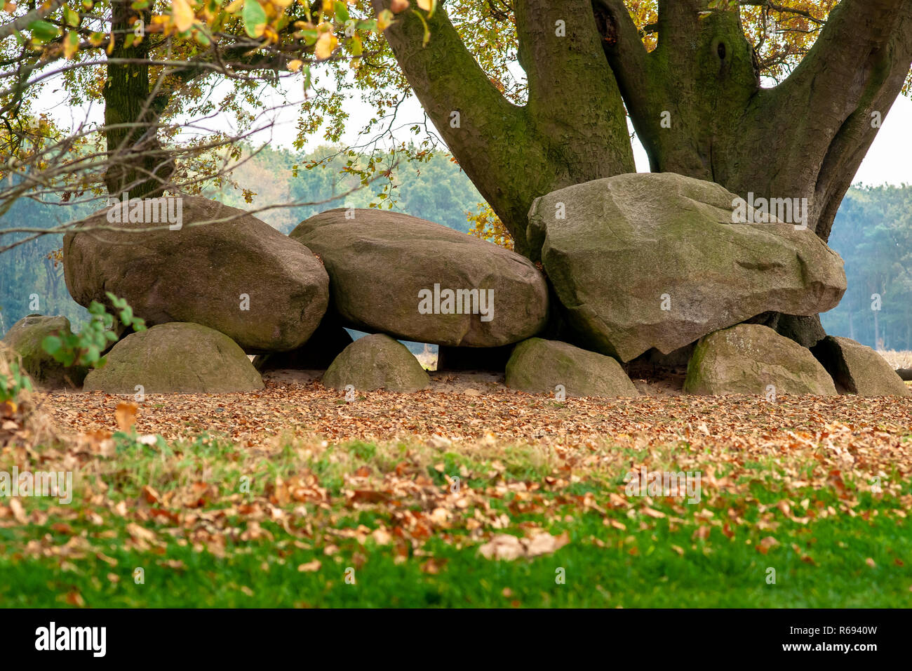 Dolmen in the Dutch province of Drenthe with a background of oak trees ...