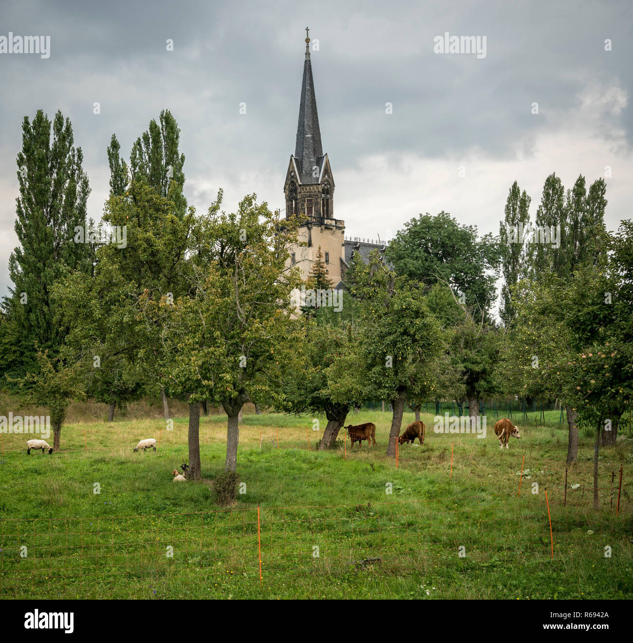 Kleingarten Germany High Resolution Stock Photography and Images - Alamy