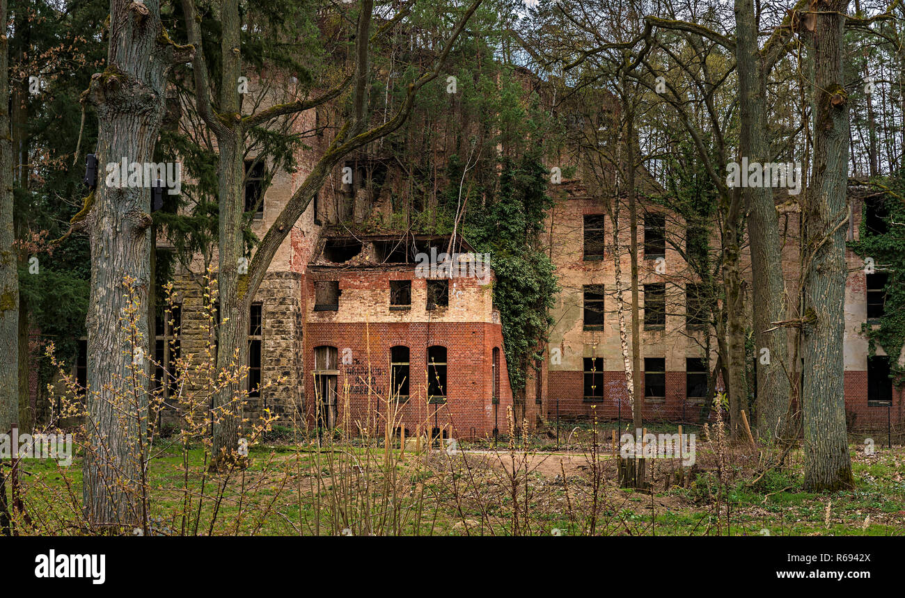 Ruins In The Forest Stock Photo - Alamy