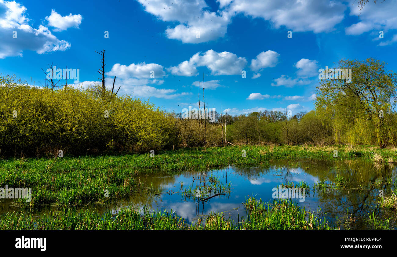 Landscape Reserve In Berlin Tegel Stock Photo - Alamy