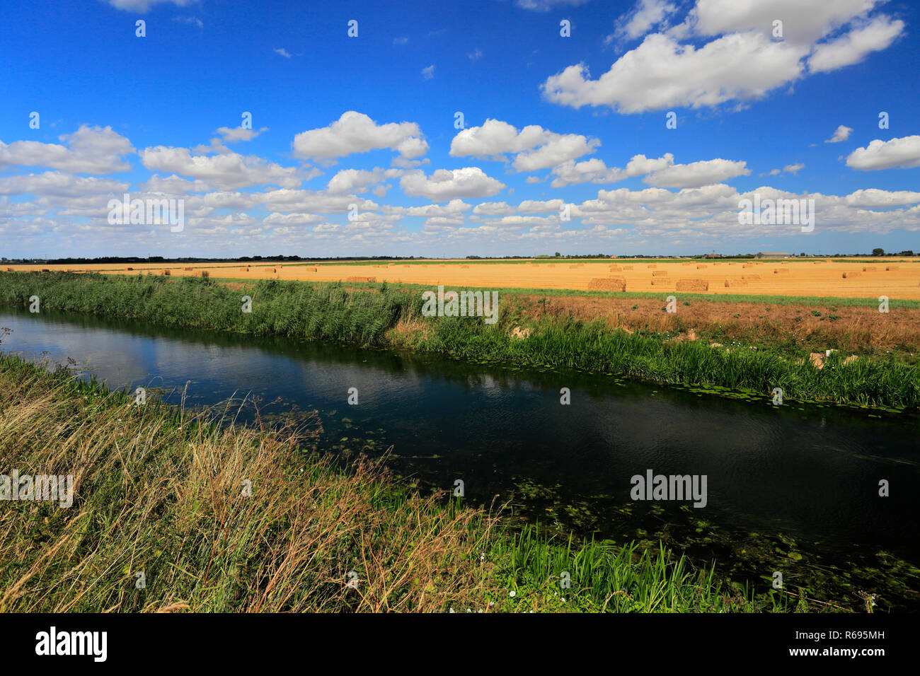 Summer; Whittlesey Dyke, Bedford Levels near Turves village; Fenland ...