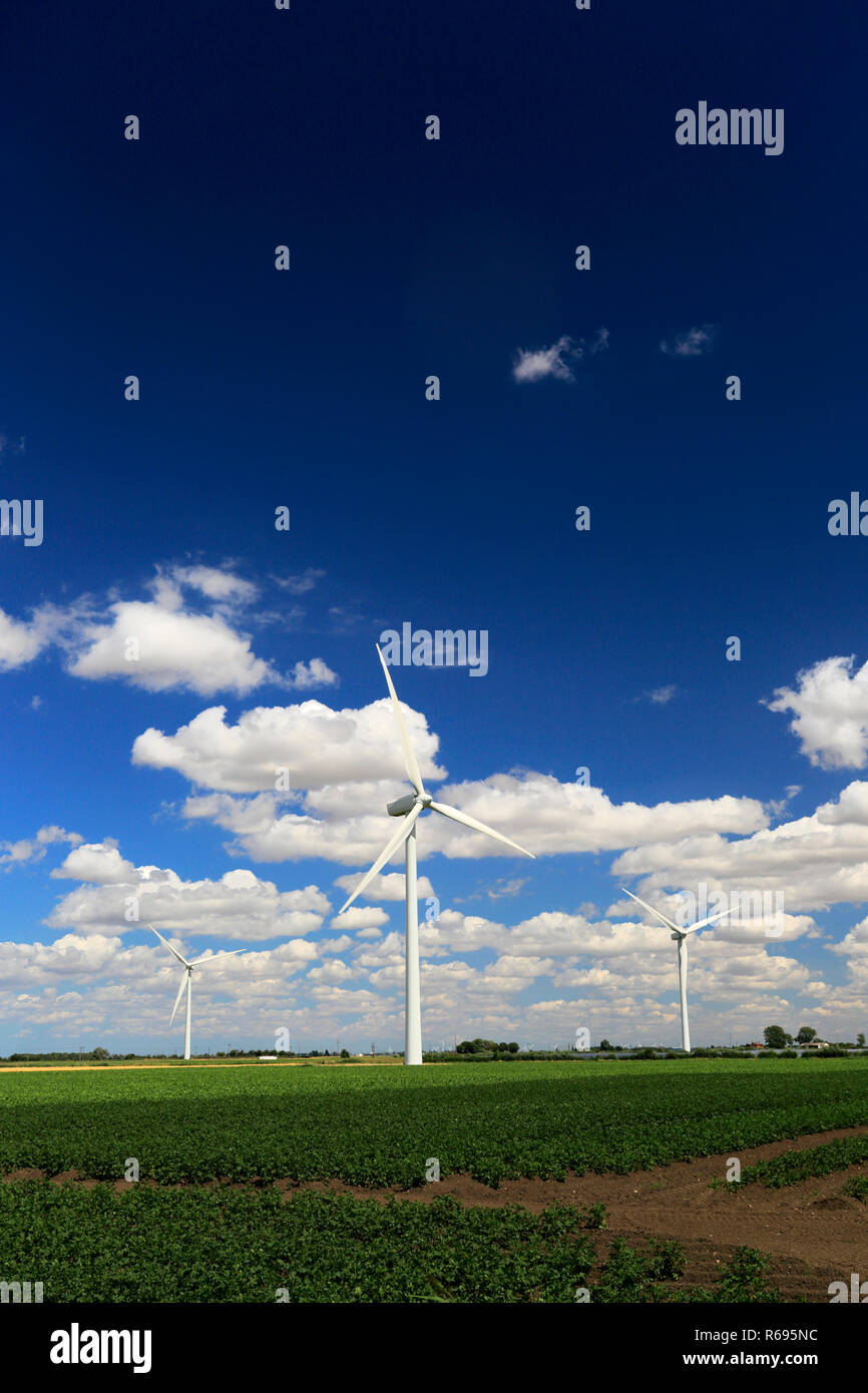 Crops and Wind Turbines on the Bedford Levels near Turves village ...