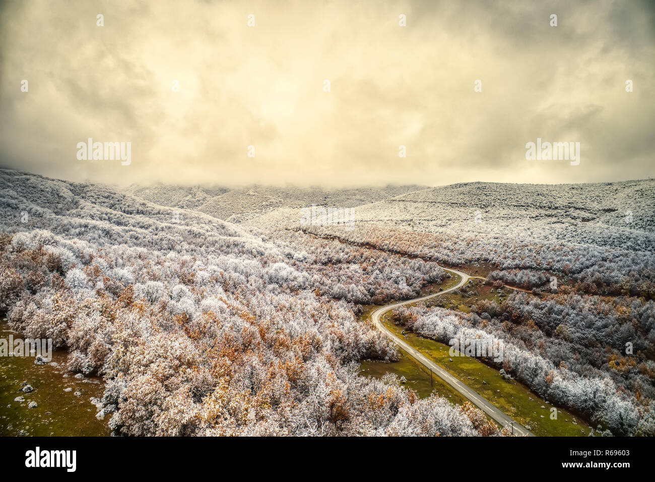 Aerial view of snowy forest with a road in the area of Vermio in ...