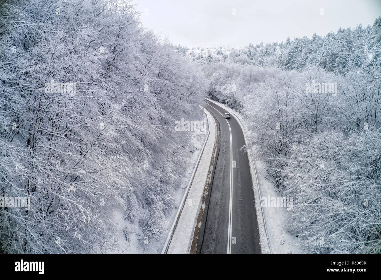 Aerial view of snowy forest with a road in the area of Vermio in ...
