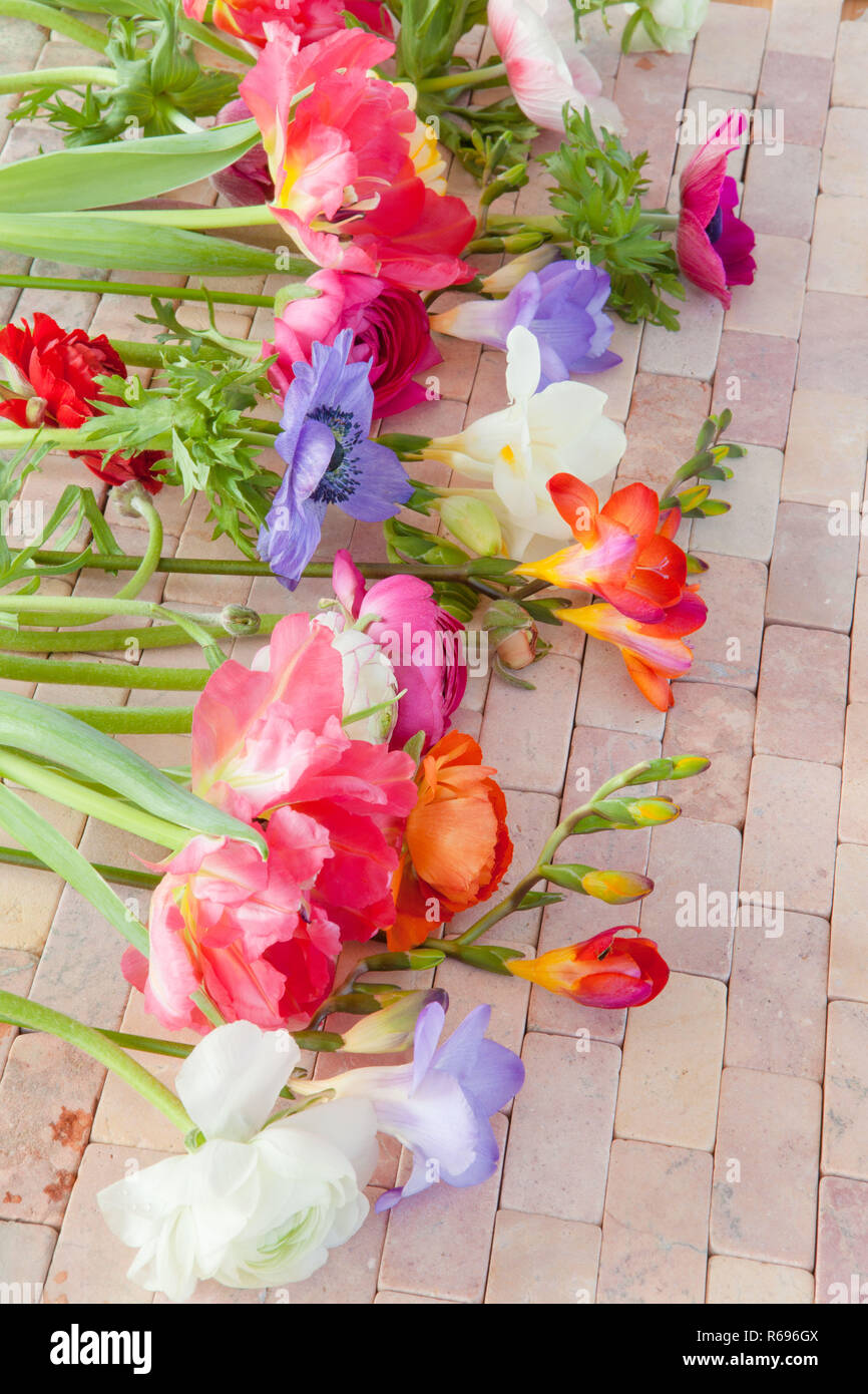 Colorful Spring Flowers Stock Photo - Alamy