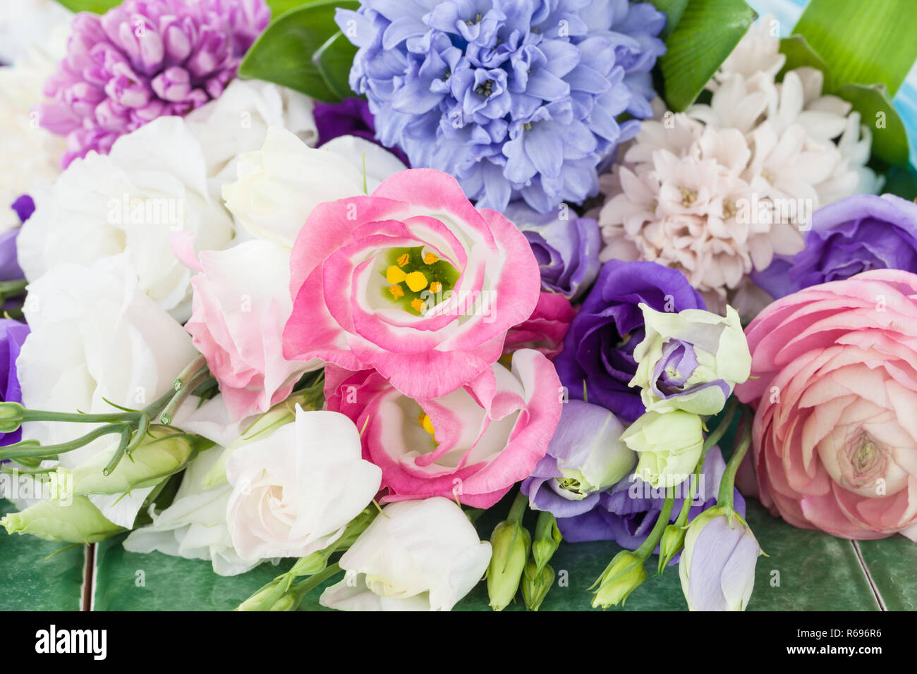 Colorful Spring Flowers Stock Photo - Alamy