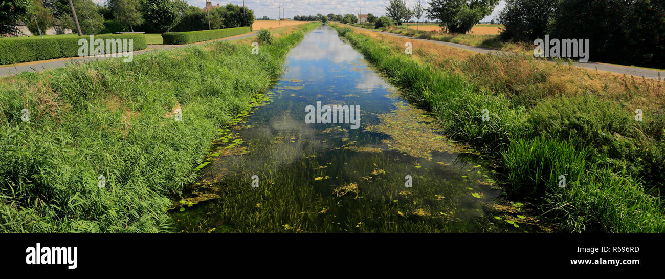 Summer; Whittlesey Dyke, Bedford Levels near Turves village; Fenland ...