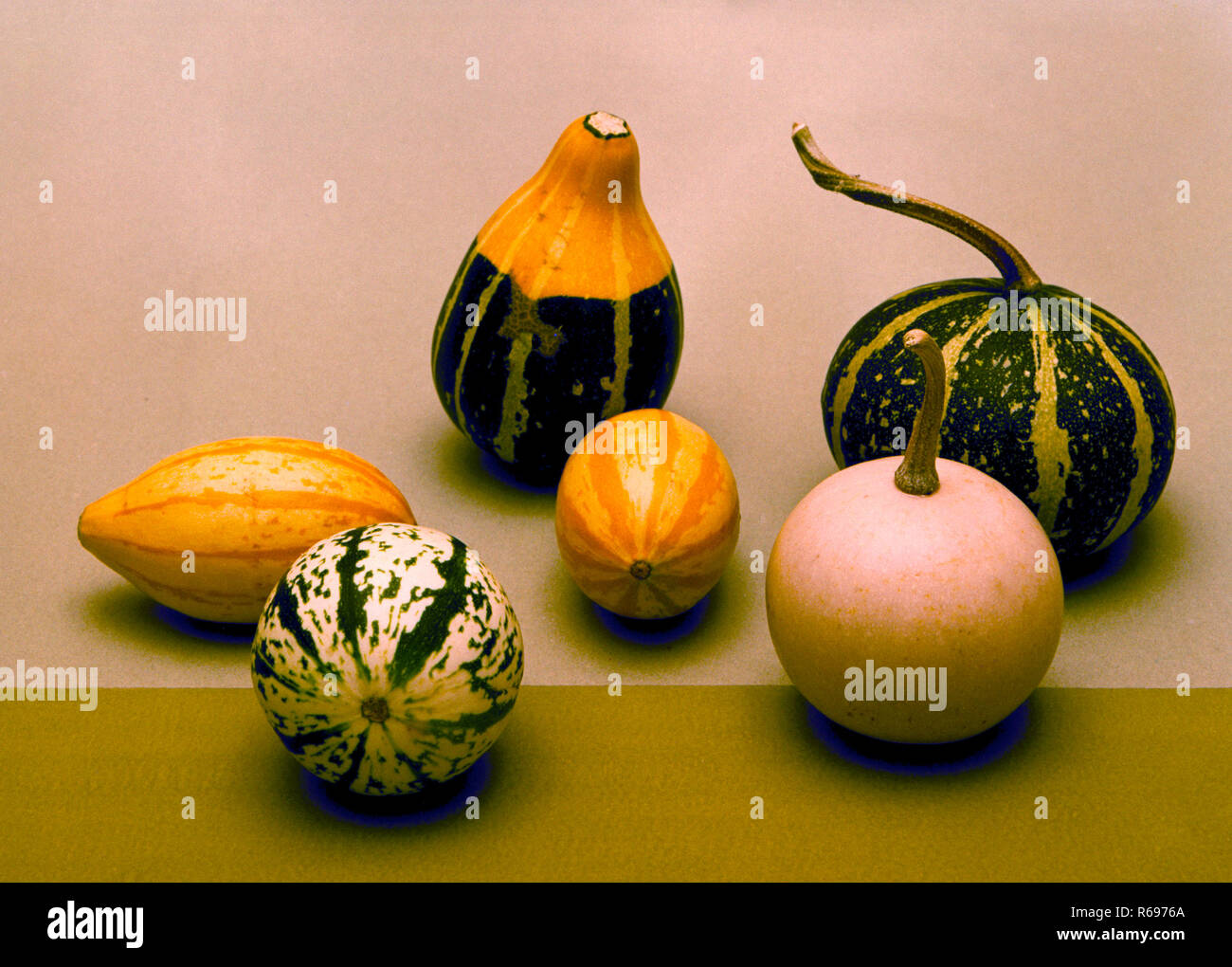 Six gourds hi-res stock photography and images - Alamy