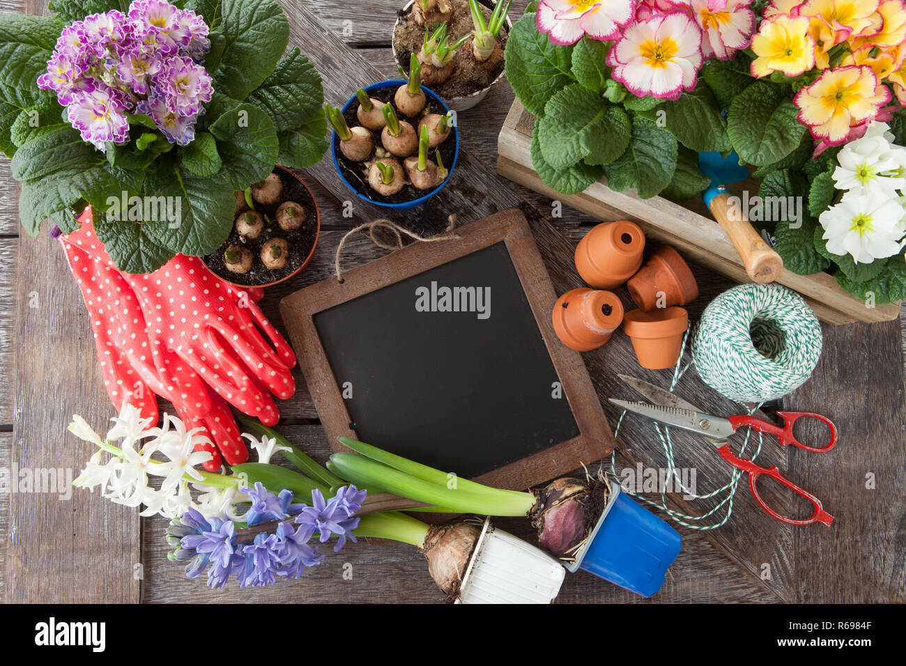 Planting Flowers In Spring Time Stock Photo - Alamy
