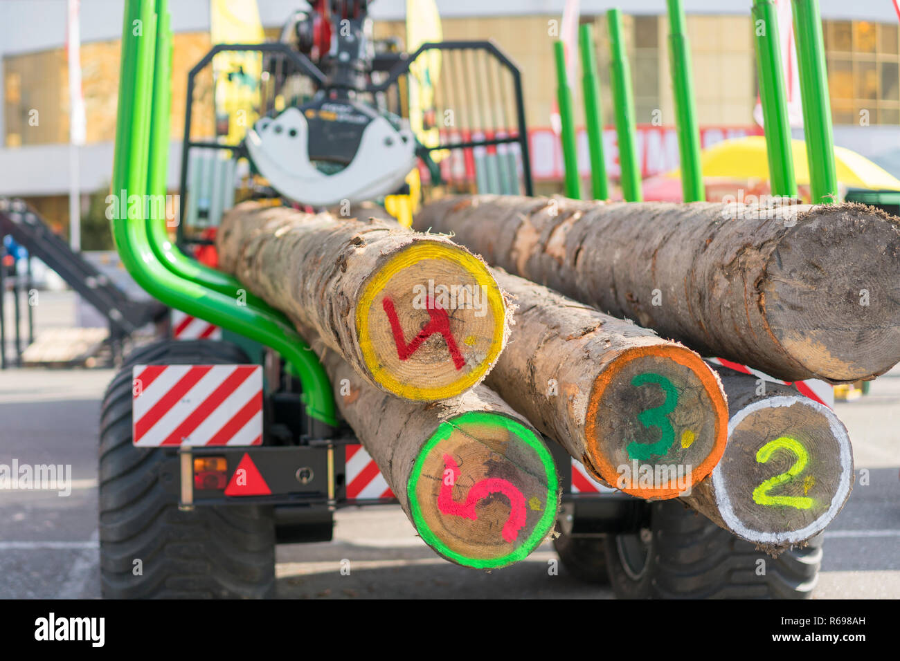 Tip truck transportation of sawn timber. The truck transports logs, on ...