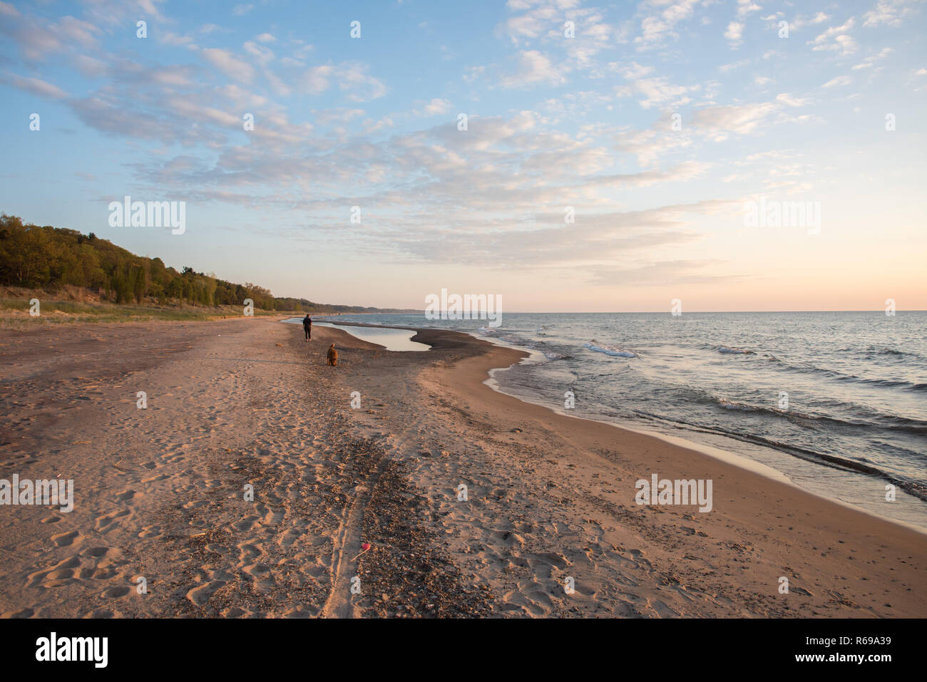 Bridgman, Michigan, United States: May 13, 2017 : Person walking their ...