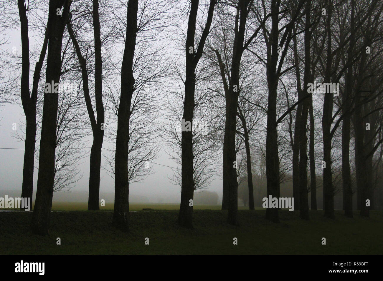 Novembernebel hi-res stock photography and images - Alamy