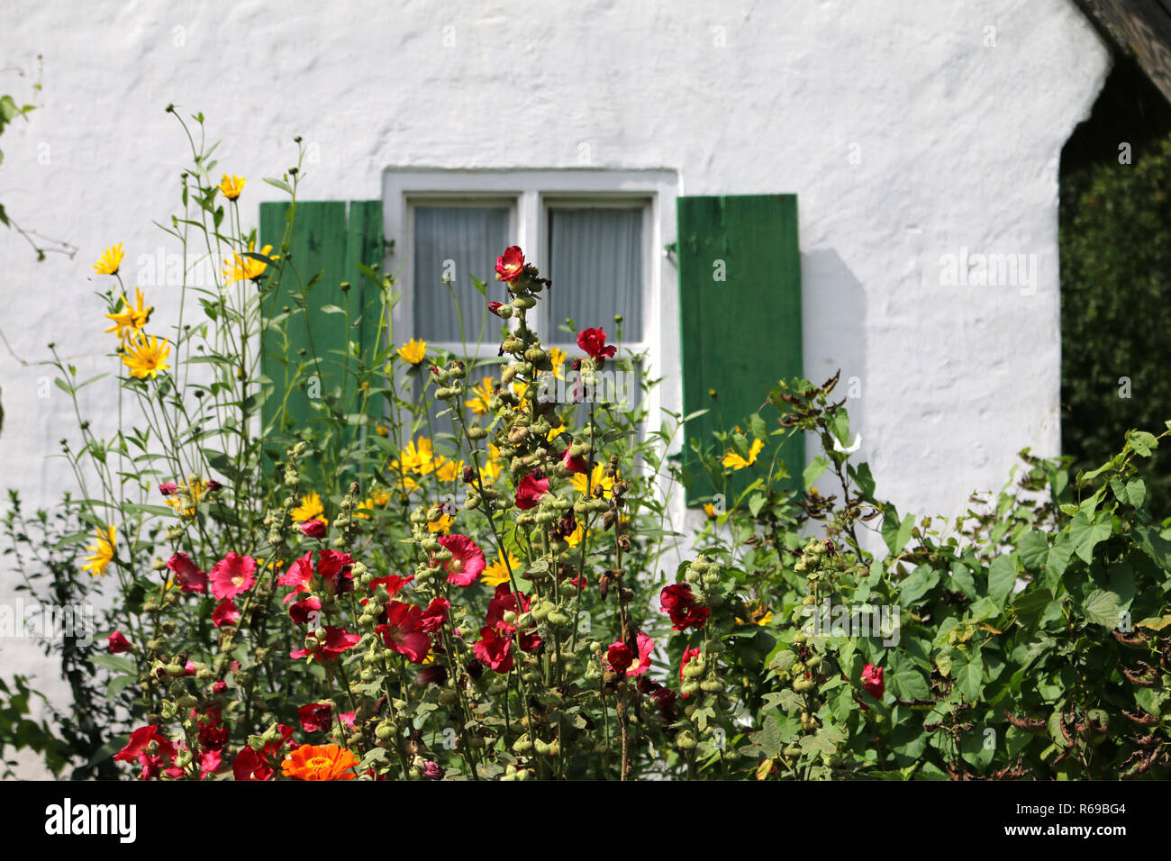 Flowerpower In The Garden Of A Farmhouse Stock Photo - Alamy
