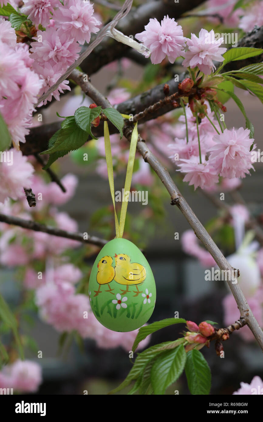 Easter Egg On A Tree Stock Photo - Alamy
