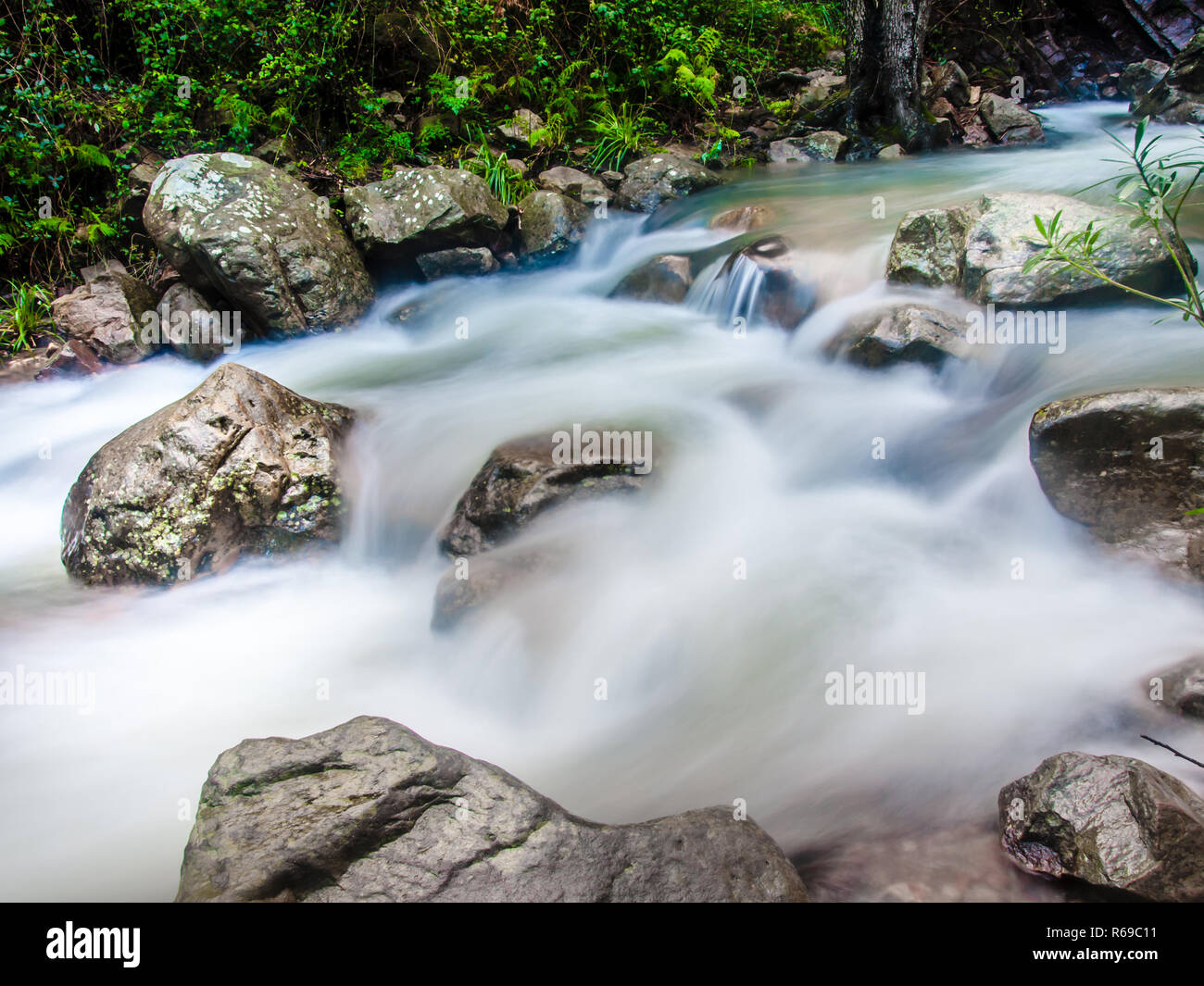 Inland creek river flowing hi-res stock photography and images - Alamy