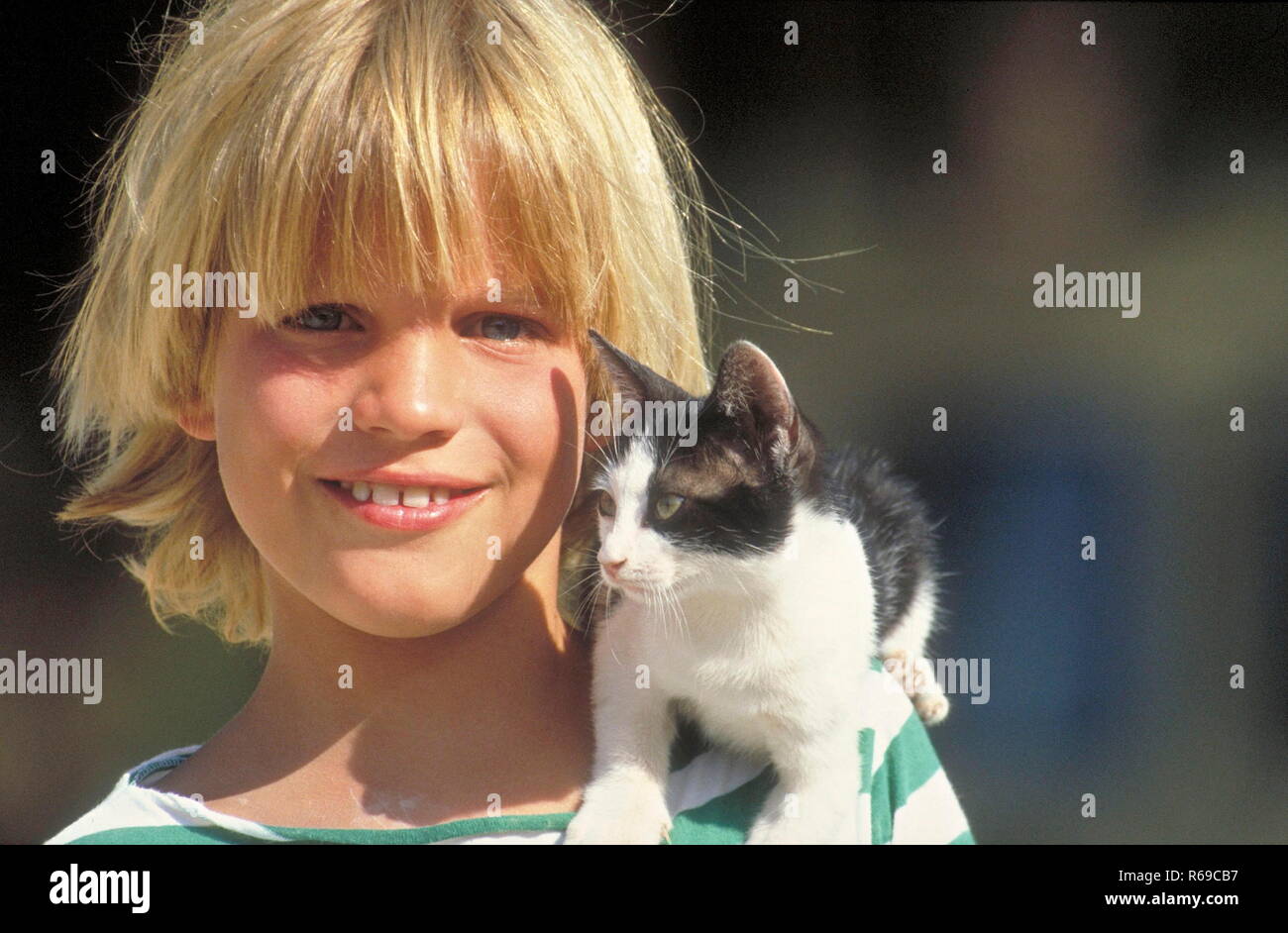 Kid katze hi-res stock photography and images - Alamy