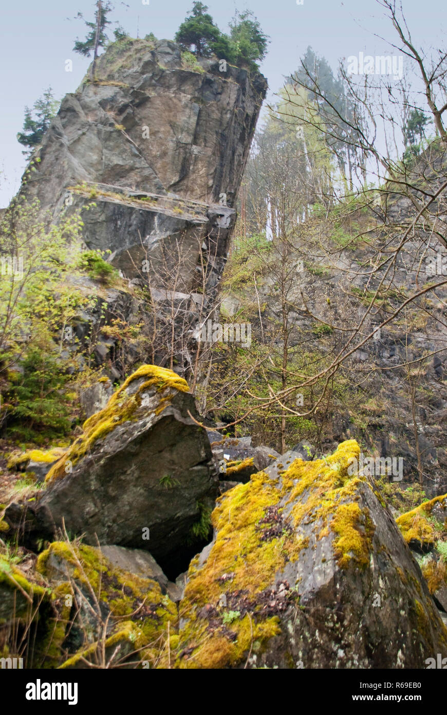Harzer natur hi-res stock photography and images - Alamy