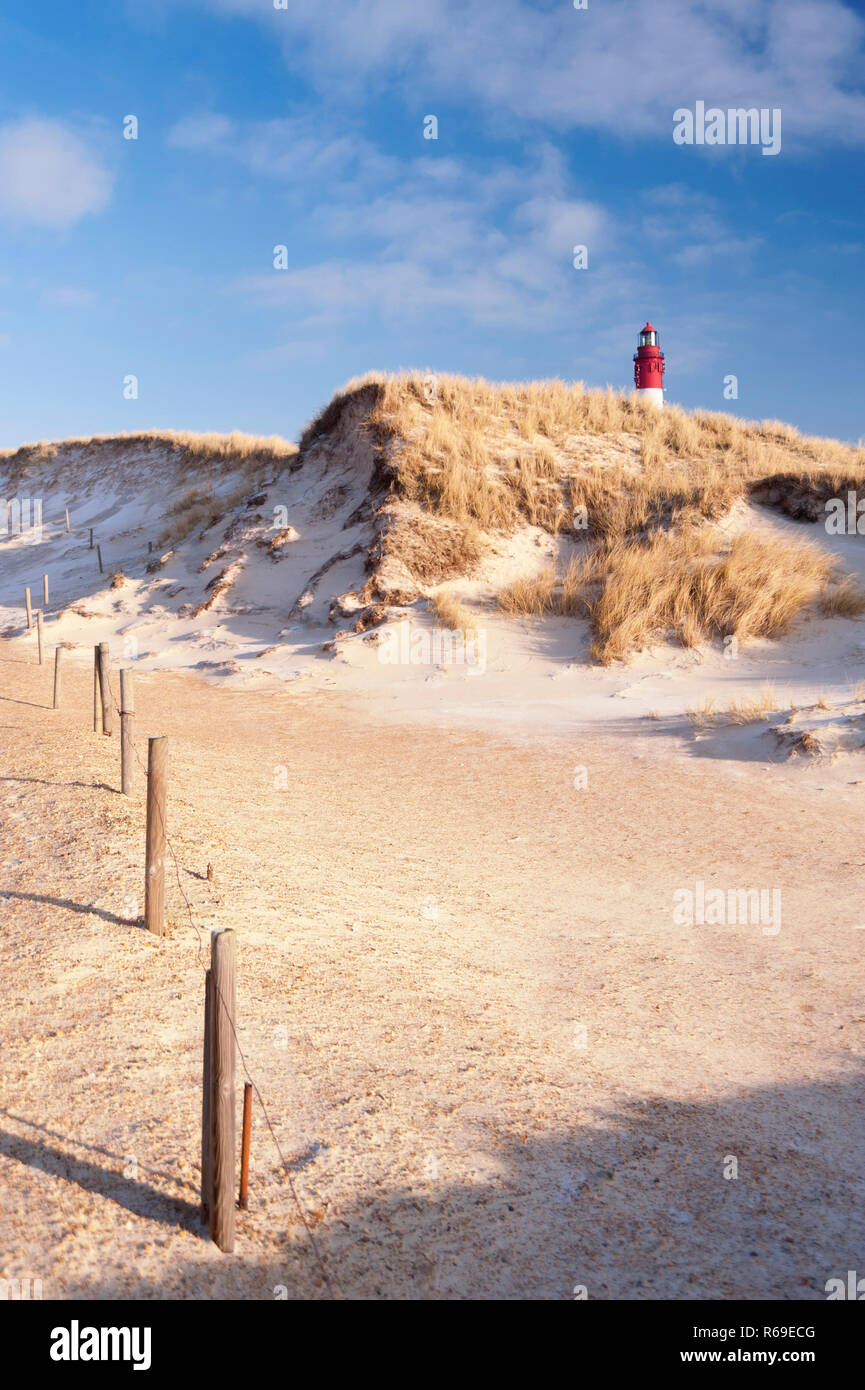 Nordseeinsel amrum hi-res stock photography and images - Alamy