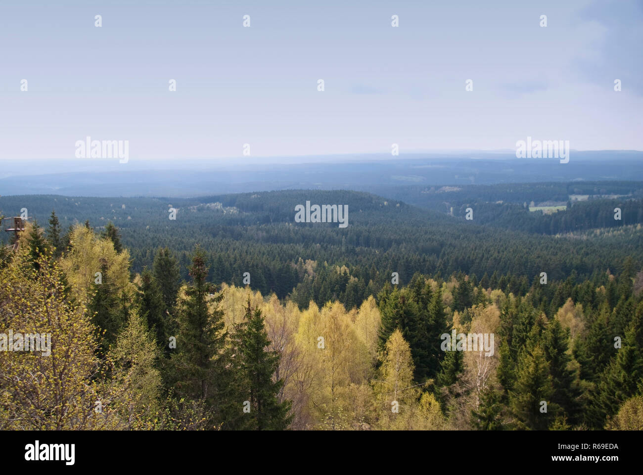 In The Harz Mountains Stock Photo - Alamy