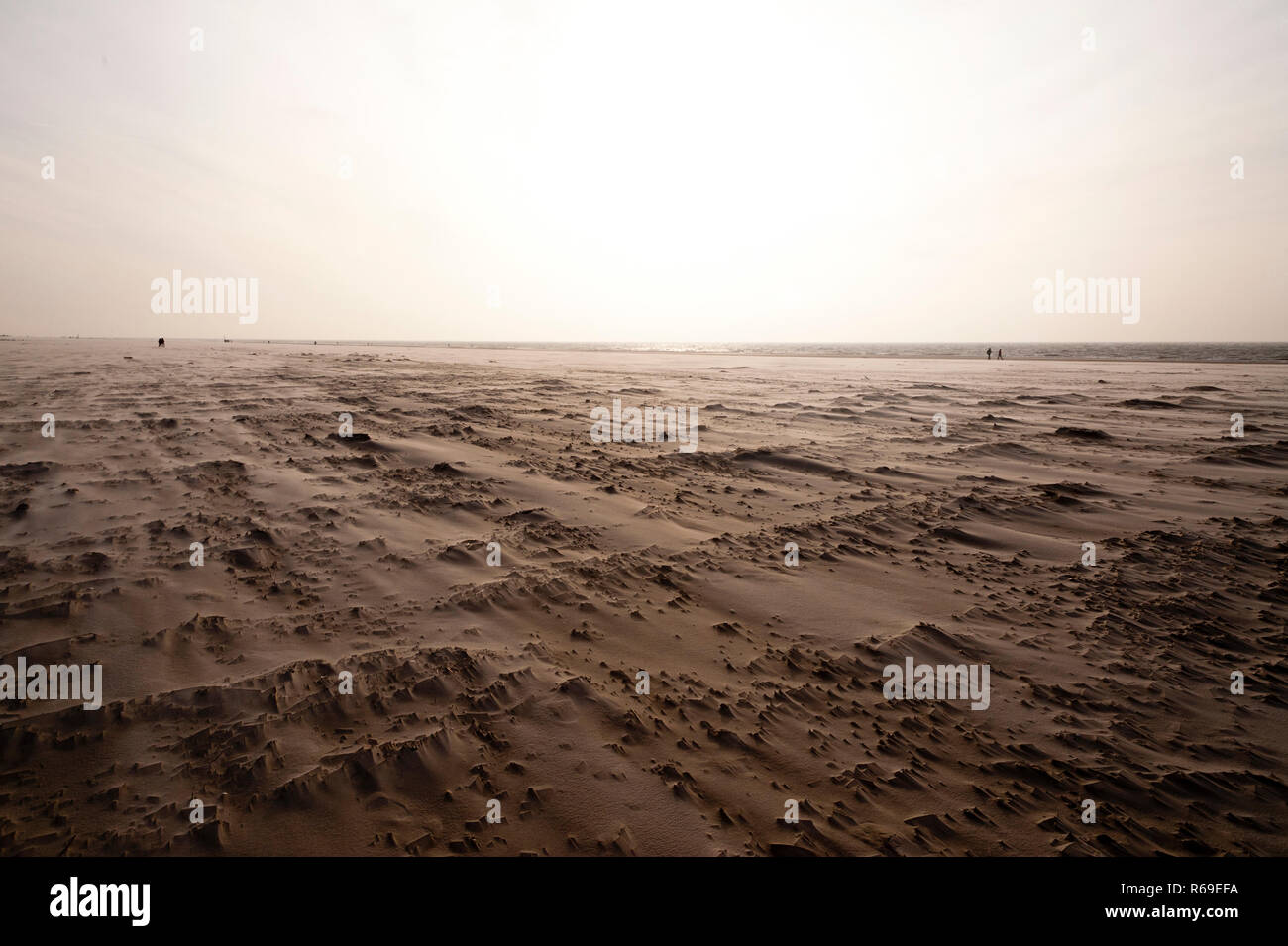 Beach Of Amrum Stock Photo - Alamy