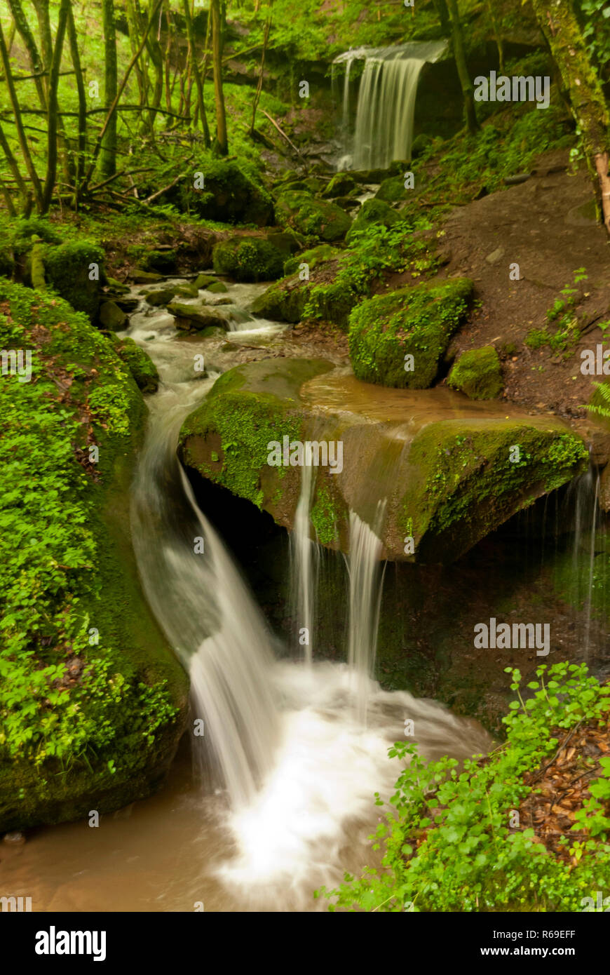 On The Hiking Trail Eifelsteig Stock Photo - Alamy