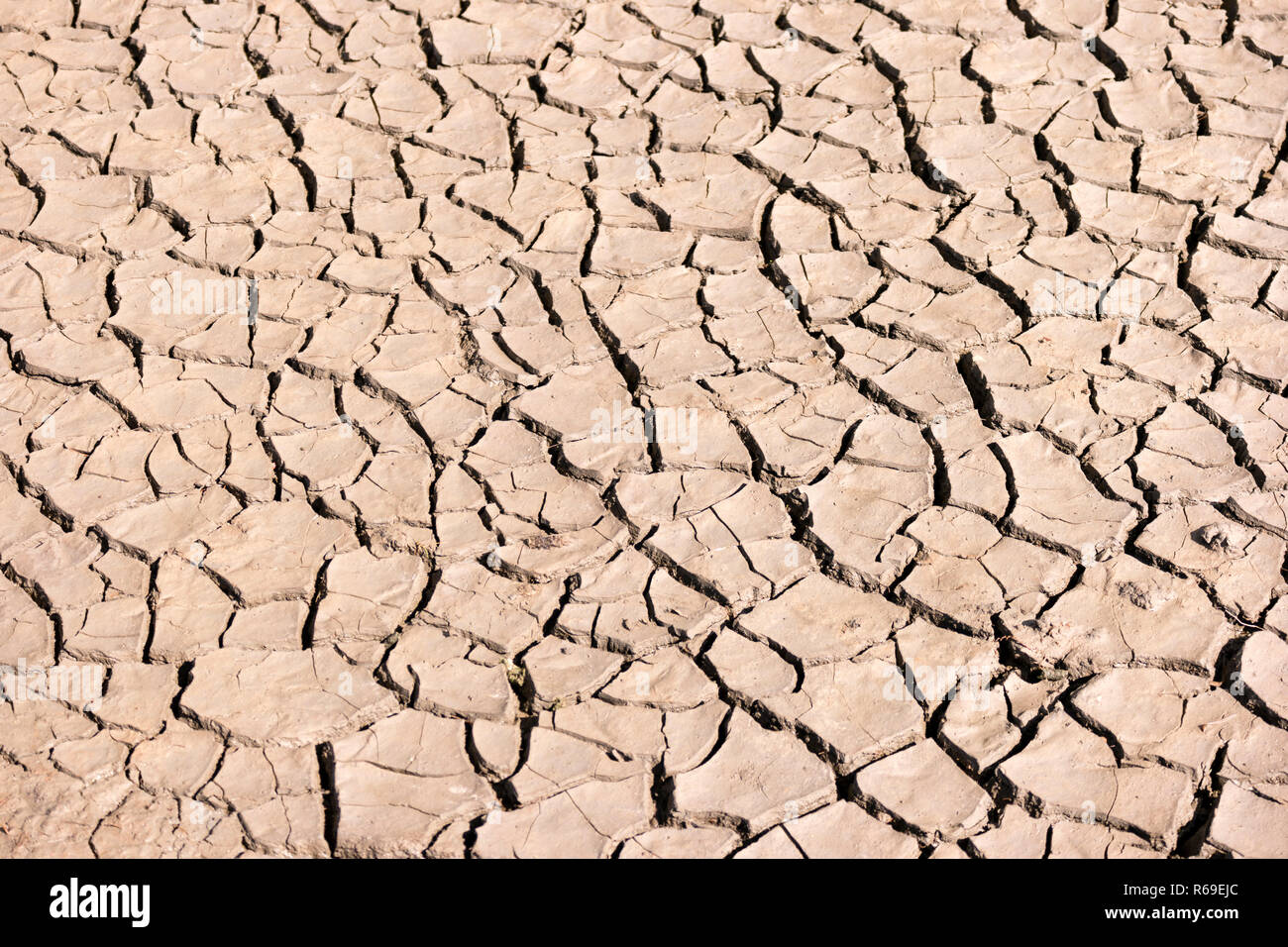 Dried soil hi-res stock photography and images - Alamy