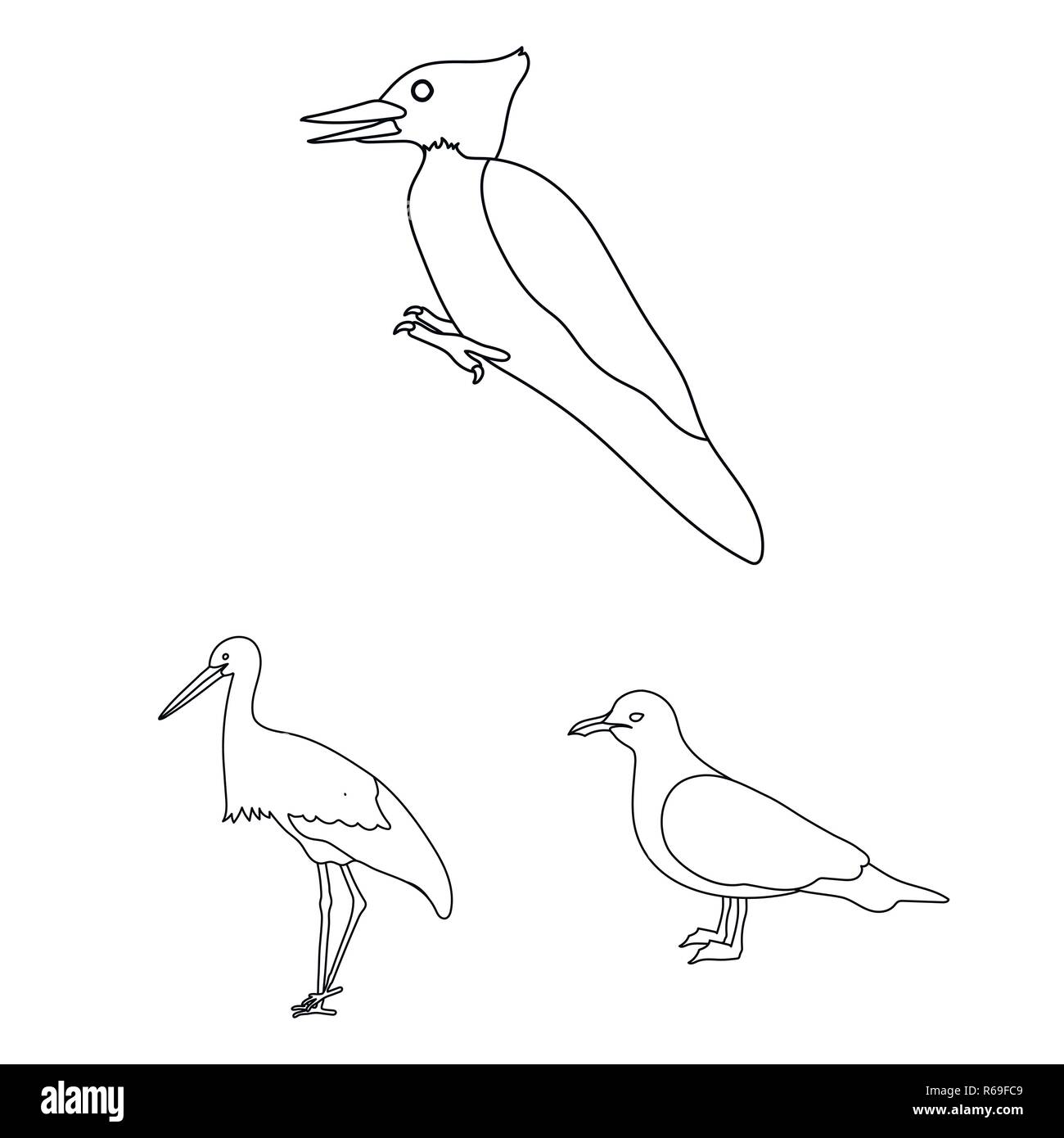Types of birds outline icons in set collection for design. Home and ...
