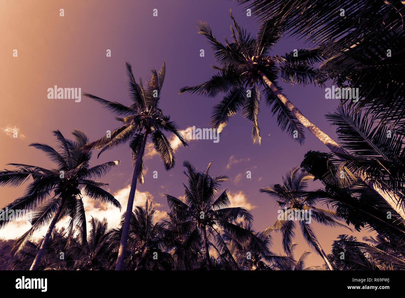 Coco beach antigua hi-res stock photography and images - Alamy