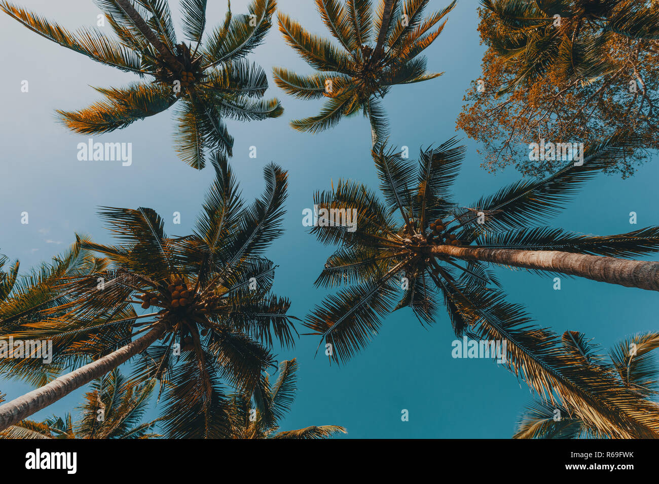 Coco beach nice hi-res stock photography and images - Alamy
