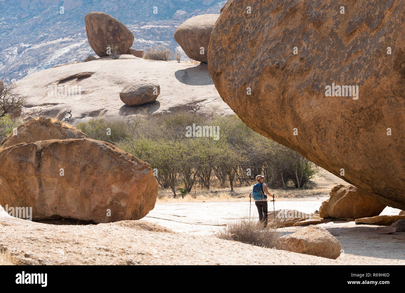 Walking At The Bulls Party And Elephants Head Natural Monument Erongo ...
