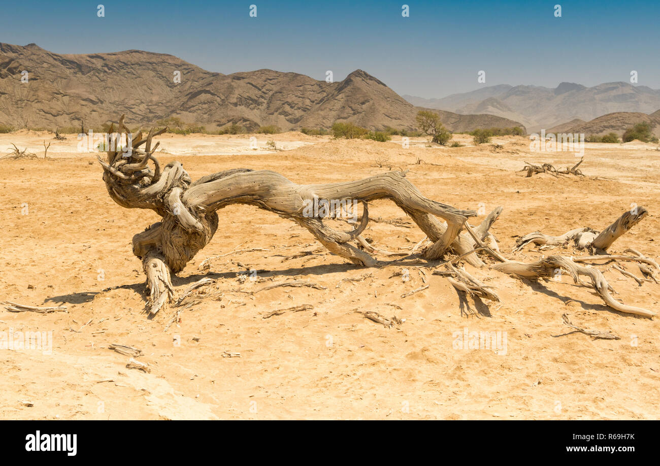 Landscape With An Uprooted Tree In The Remote Hoanib Valley Kaokoveld ...