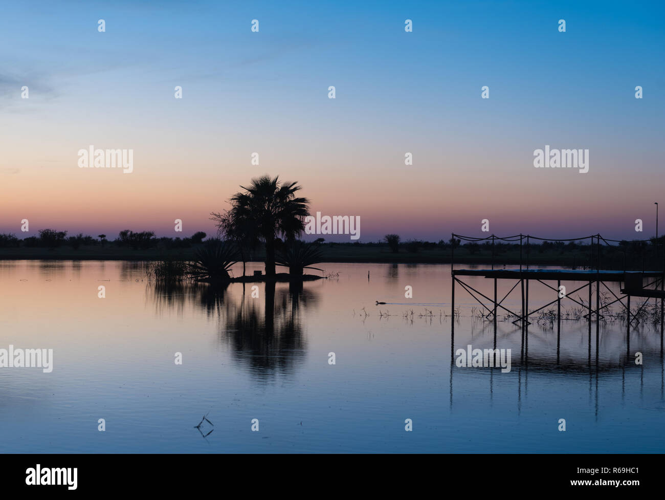 Palm Tree And Footbridge At A Lake At Dusk Hardap Namibia Stock Photo ...