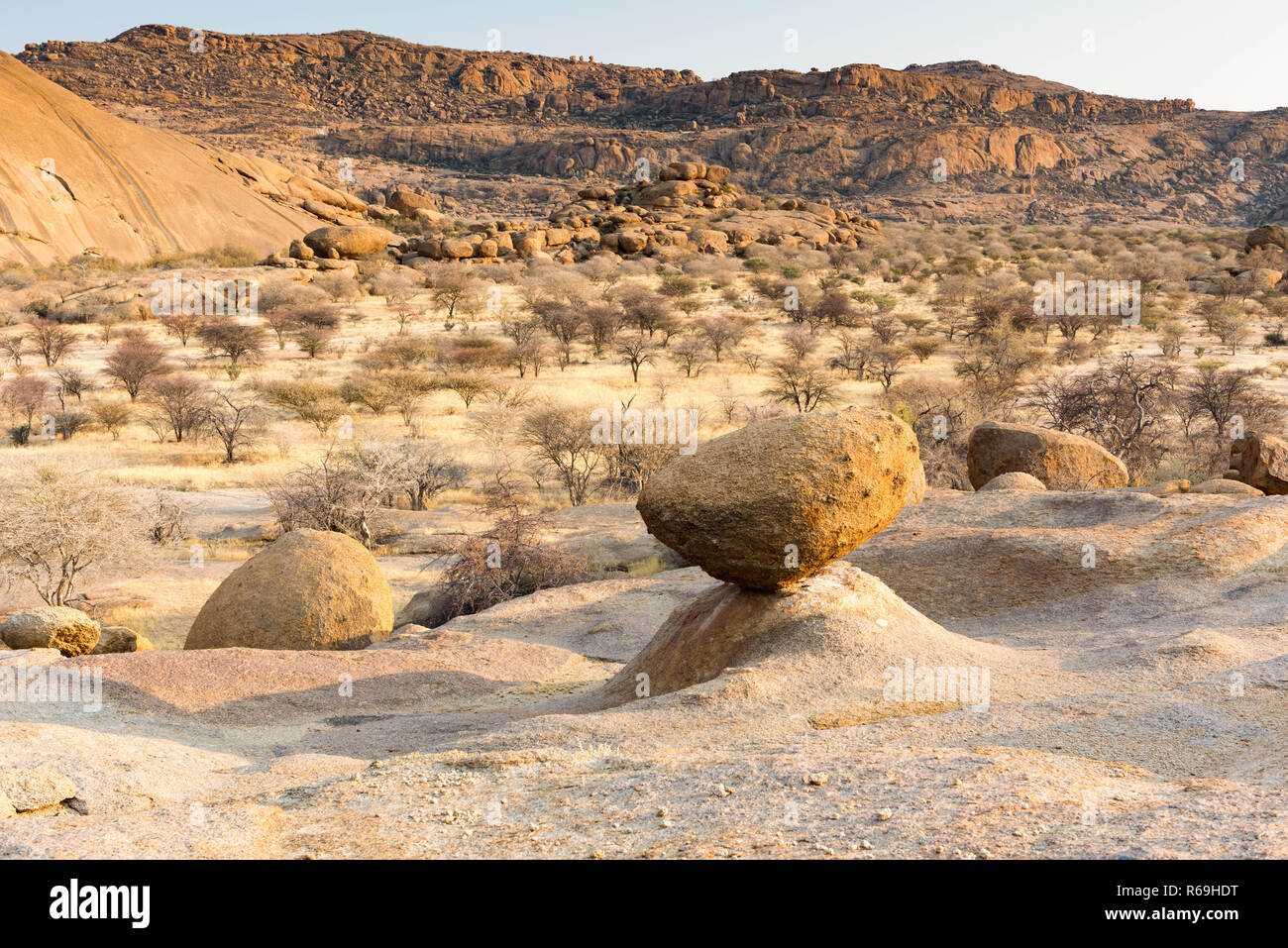 Bulls on rocks hi-res stock photography and images - Alamy