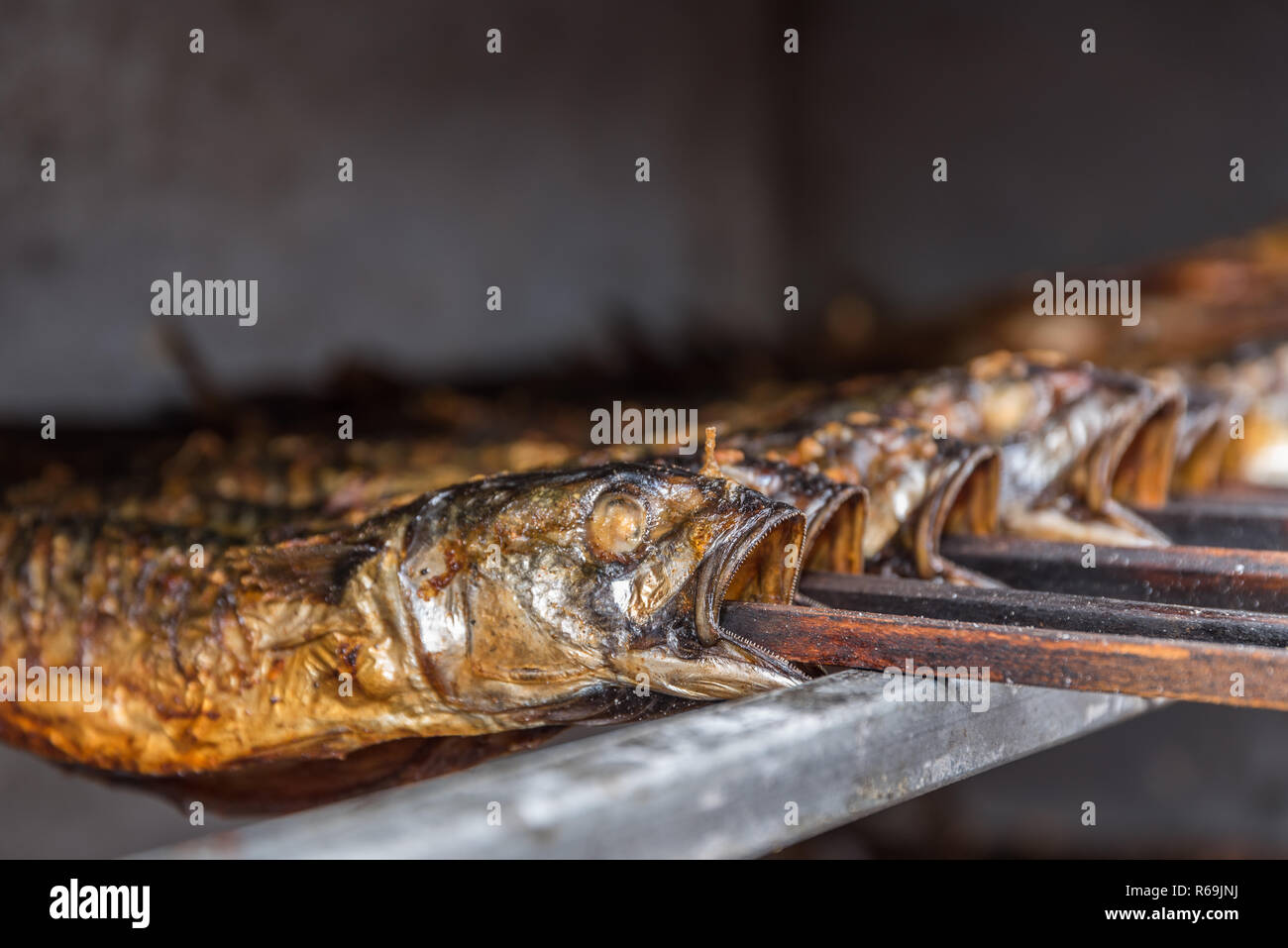 Makrelen hi-res stock photography and images - Alamy