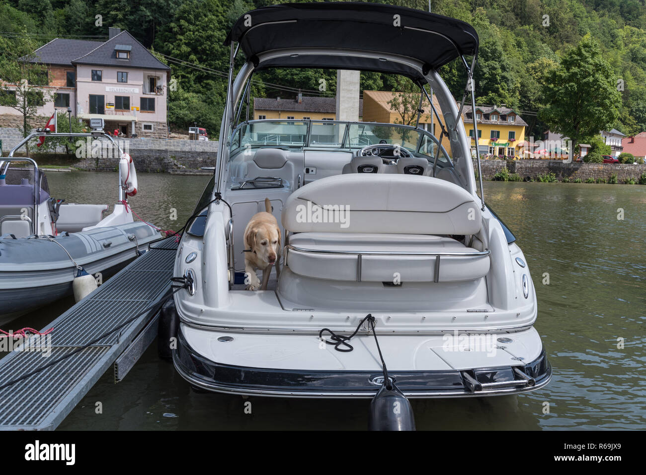 Golden retriever on a boat hi-res stock photography and images - Alamy