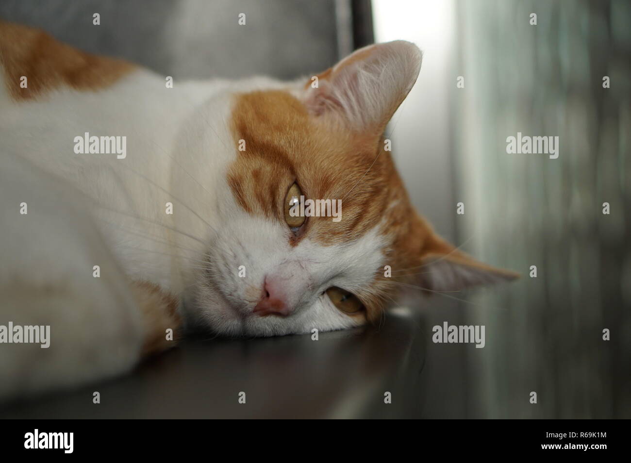 Pondering pose hi-res stock photography and images - Alamy