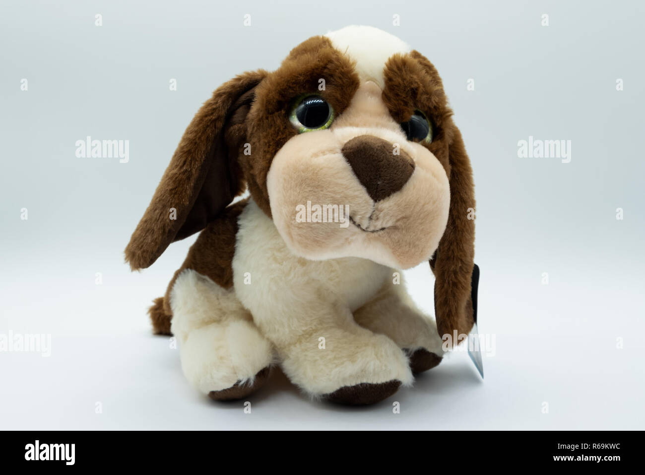 Big soft eyes hi-res stock photography and images - Alamy