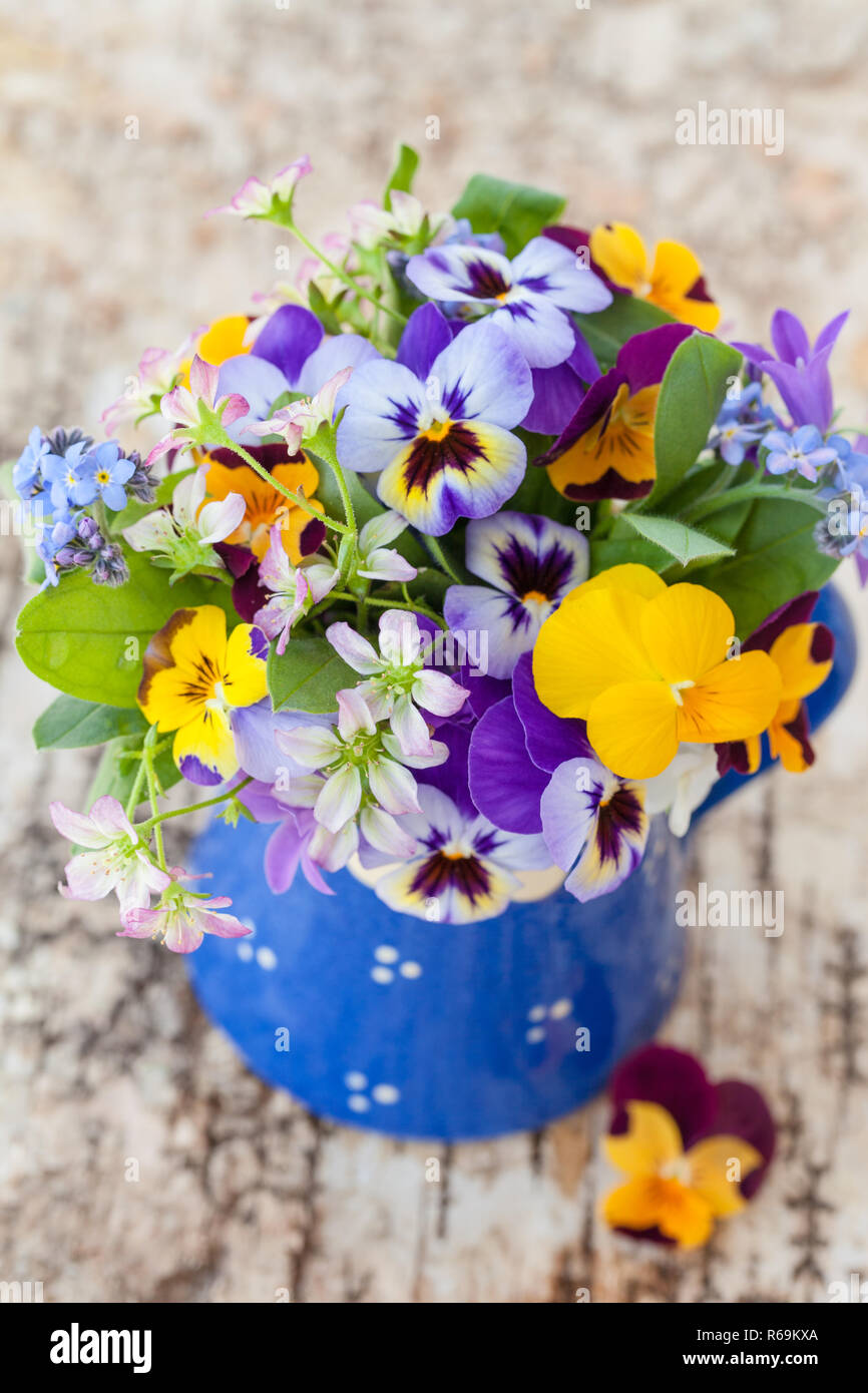 Colorful Spring Flowers Stock Photo - Alamy
