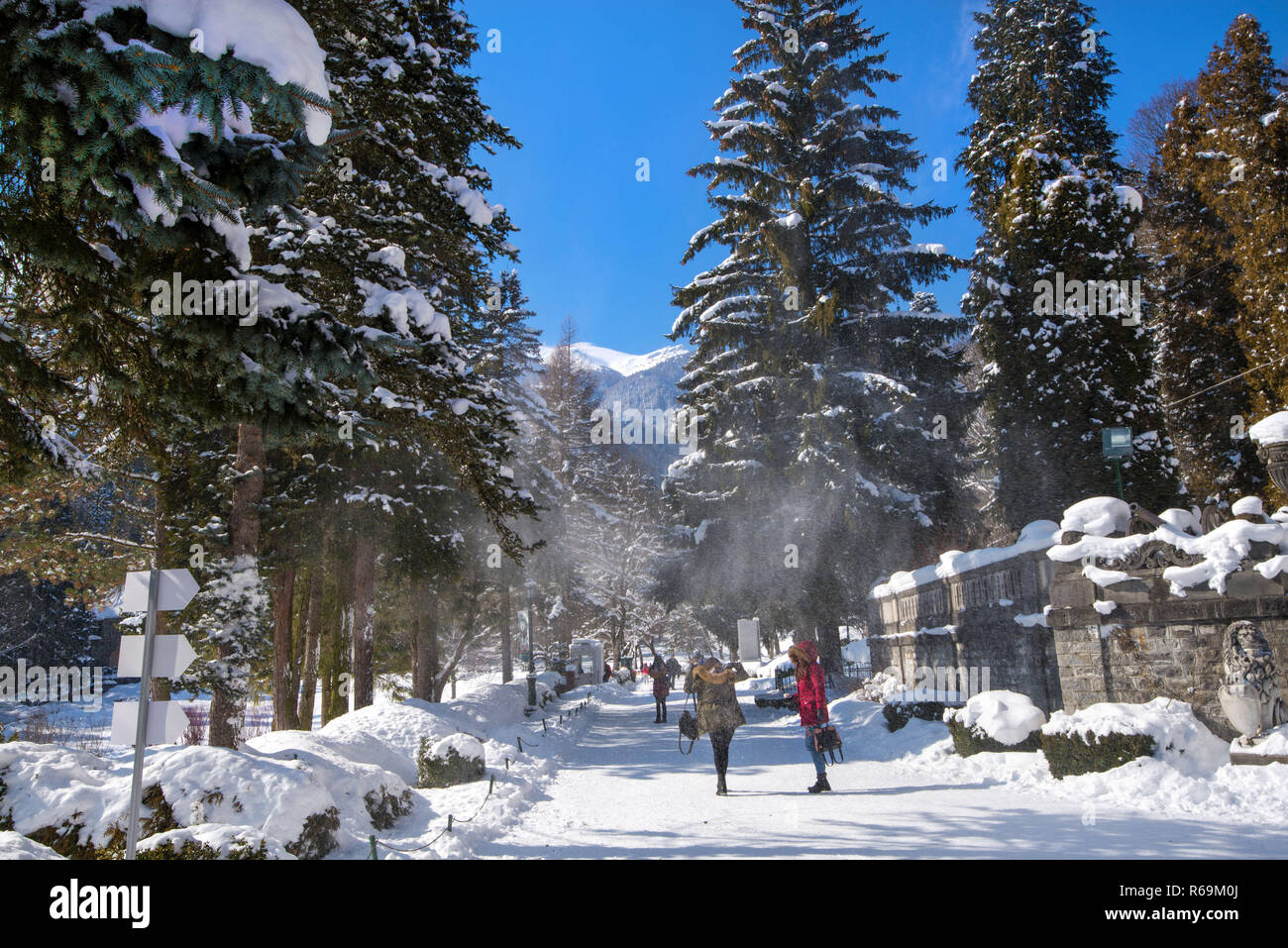 Heavy snow storm in park. Beautiful winter scene outdoors. Concept of ...