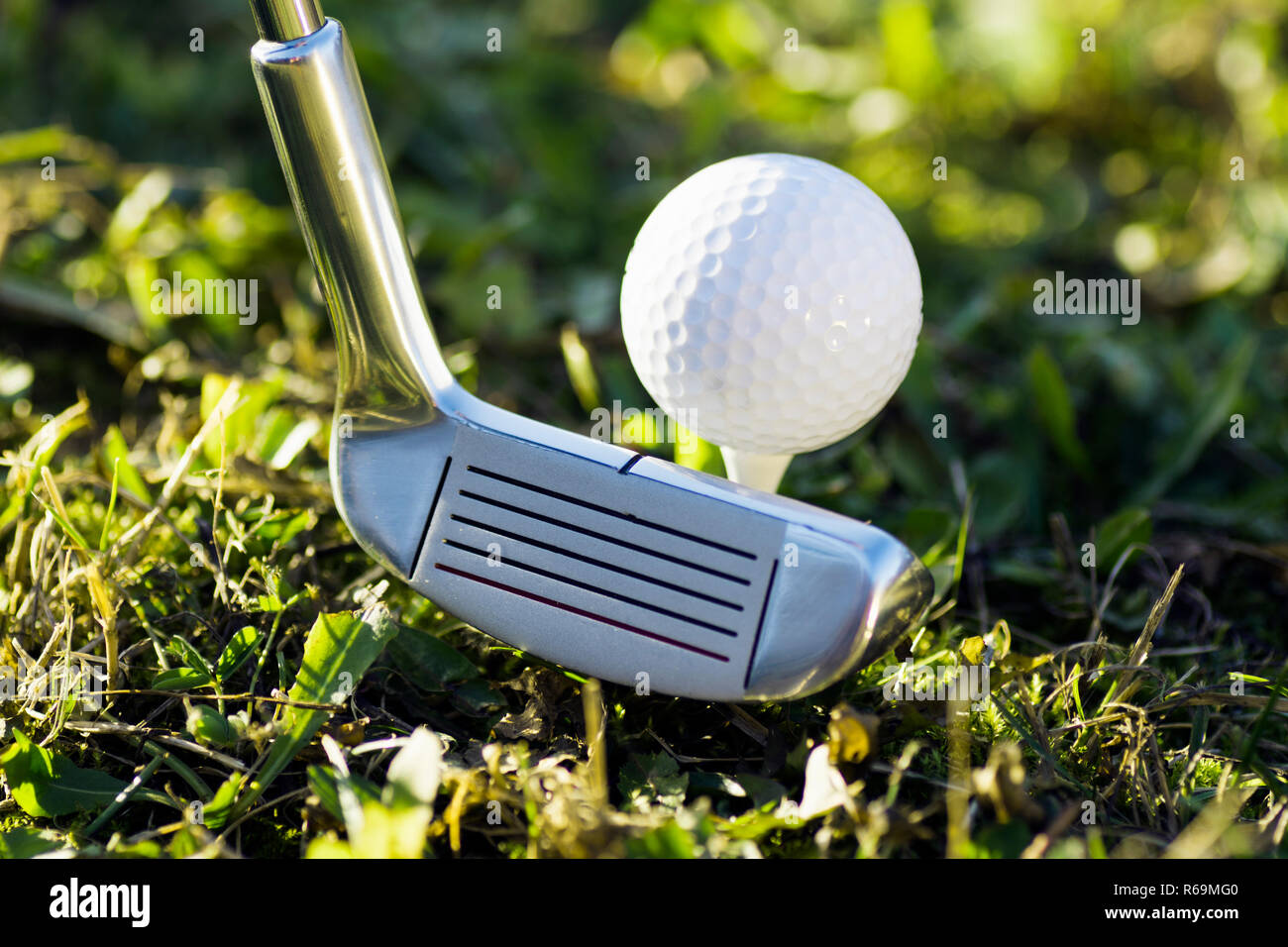 golf ball and putter golf club in grass golfing concept Stock Photo - Alamy