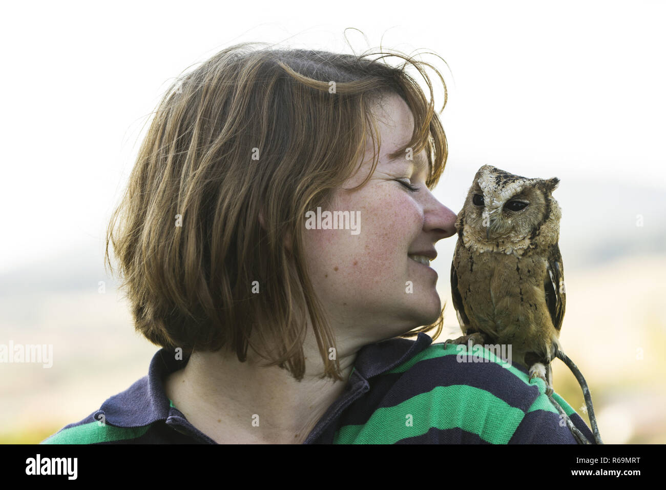 Facing owl hi-res stock photography and images - Alamy