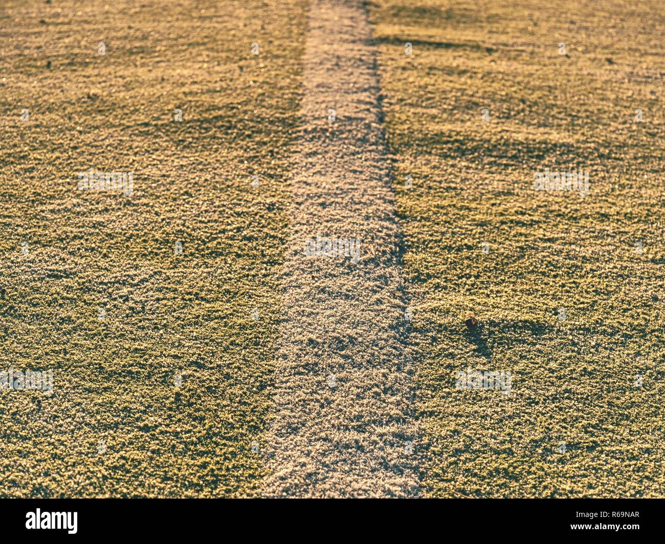 Line of empty green soccer field in the stadium. The artificial turf ...