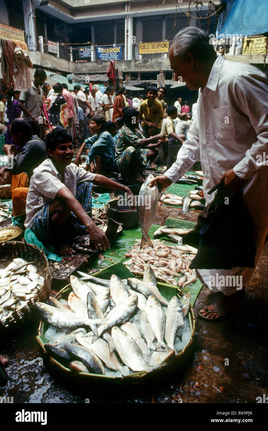 Calcutta fish market, West Bengal, India Stock Photo - Alamy
